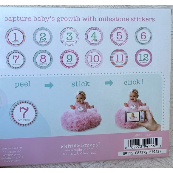 Stepping Stones | Accessories | New Stepping Stones Babys First Year ...